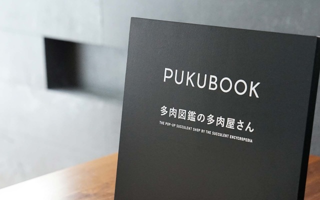 オンライン多肉図鑑がリアルワールドに出現？！ 「PUKUBOOK」のイベント出店「多肉図鑑の多肉屋さん」とは？｜PUKUBOOK