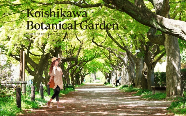 東京編 Vol.2 歴史と文化と学生感を満喫できる植物園 ――「小石川植物園」を散歩してきました｜PUKUBOOK