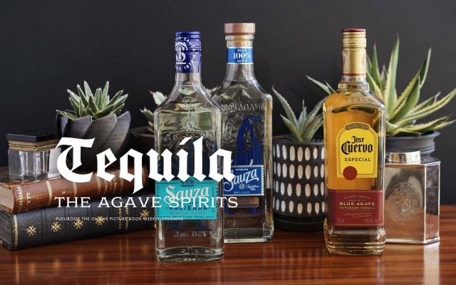 この夏はアガベを「飲もう」！ 多肉植物LOVERが書いた、世界で最もアガベに着目している「テキーラ」特集｜PUKUBOOK